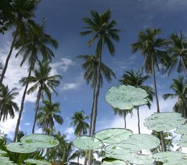 Welcome to Rayavadee Krabi, Thailand